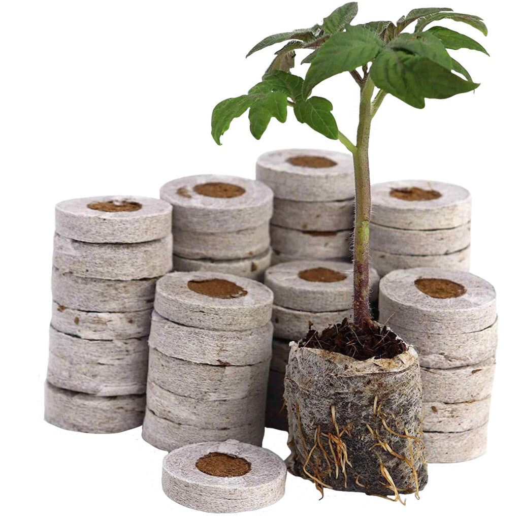 salapila.lk – Shopping Mall